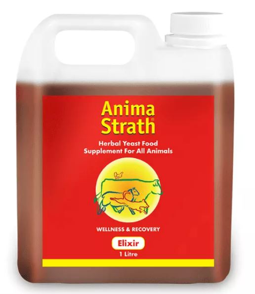 Anima-Strath Elixir 1L I Omninela Medical — Omninela.co.za
