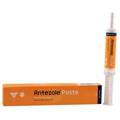 Antezole Paste - 30 ml I Omninela Medical — Omninela.co.za