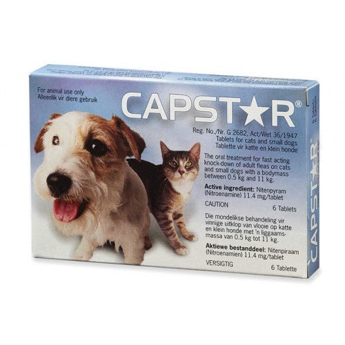 Capstar - Small - 11mg - 6 Tablets I Omninela Medical — Omninela.co.za